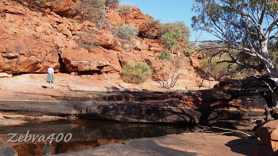 2012-07-CanningStockRoute/18-A lovely walk at Durba Springs (nr Well 17)